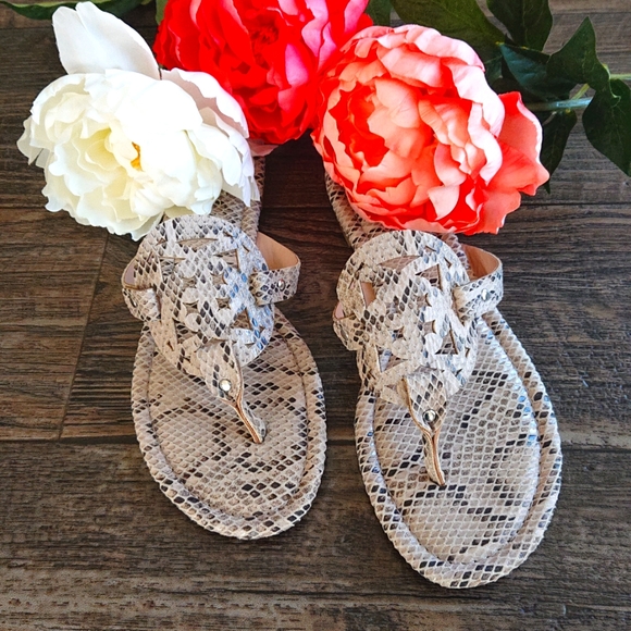 Boutique | Shoes | 2 For 58 Medallion Sandals Light Snakeskin | Poshmark